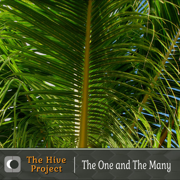 The One and The Many | The Hive Project | DataObscura
