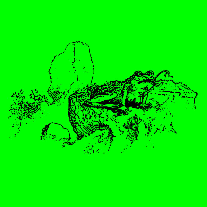 DRINK ROBO WORSHIP THE TOAD GOD | ZHOTHAQQUAHNYTH