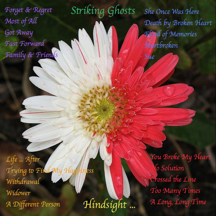 Hindsight ... | Striking Ghosts
