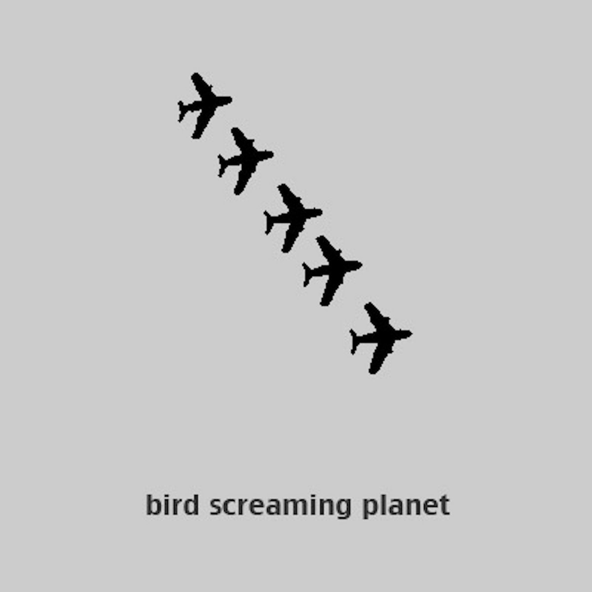 Bird Screaming Planet | Bird Screaming Planet