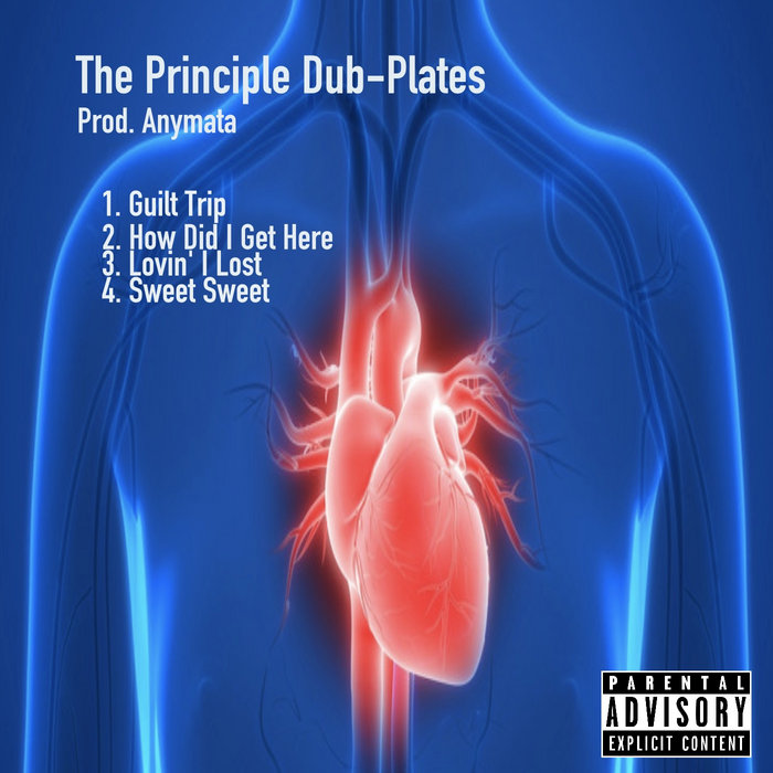 The Principle Dub-Plates | Anymata