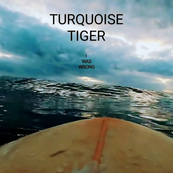 I Was Wrong | Turquoise Tiger