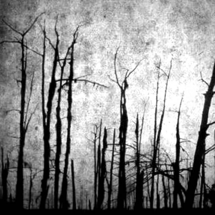 Cryptic Forest - Dawn of the Eclipse | Cryptic Forest | Finsterforst