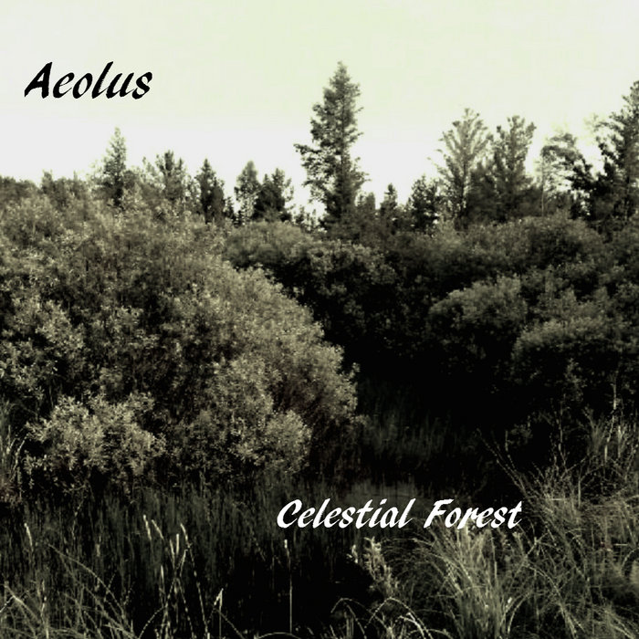 Celestial Forest | Aeolus