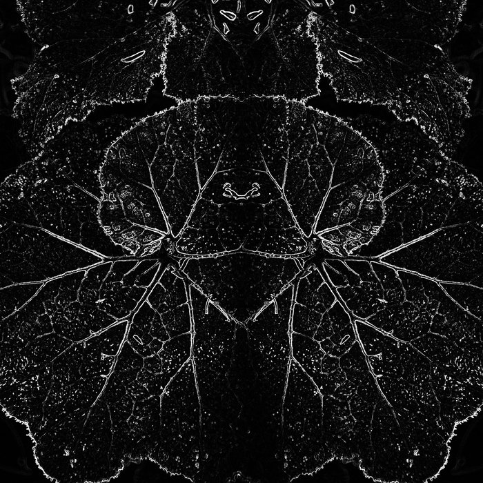 Nueva Era | Isabel Soto, MPHS | NYXII Records