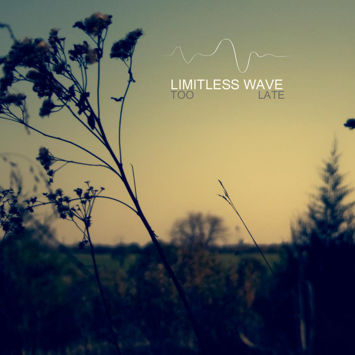 Too Late | Limitless Wave