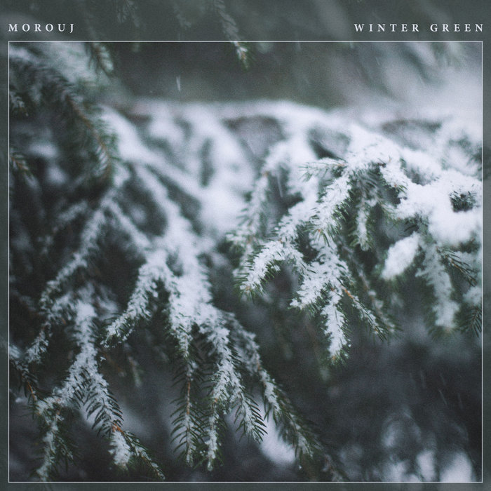 Winter Green | Morouj