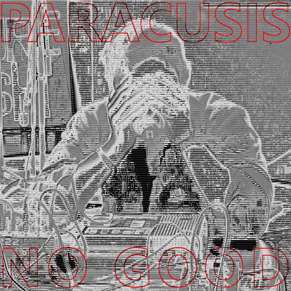 NO GOOD | Paracusis