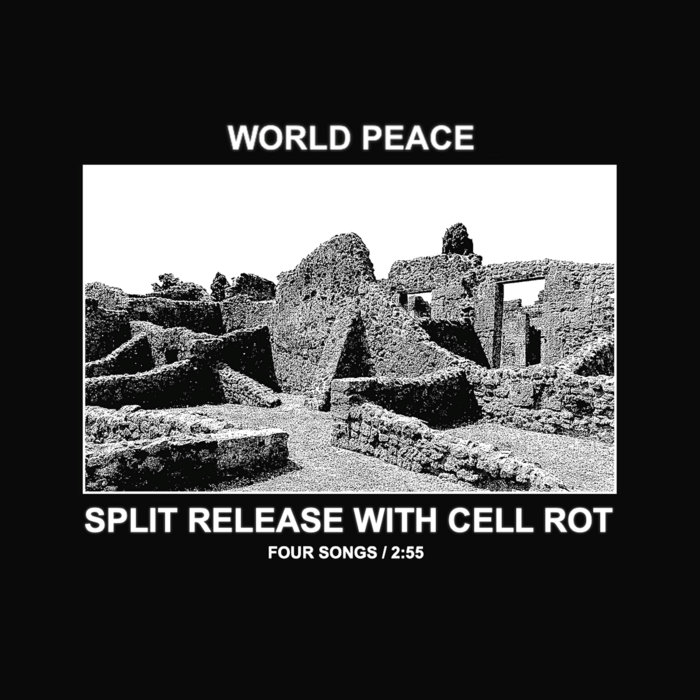 SPLIT WITH CELL ROT | WORLD PEACE