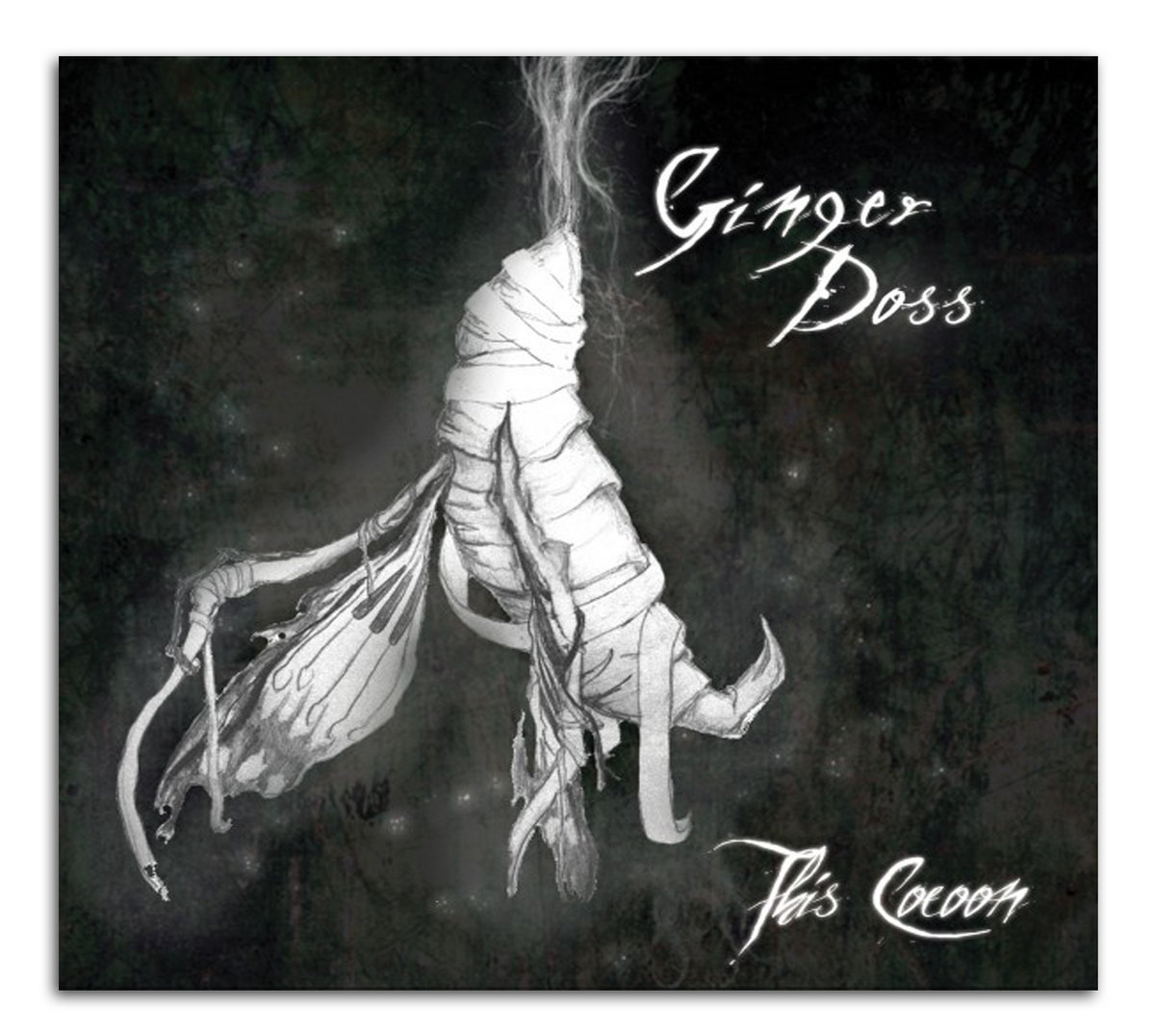 This Cocoon | Ginger Doss