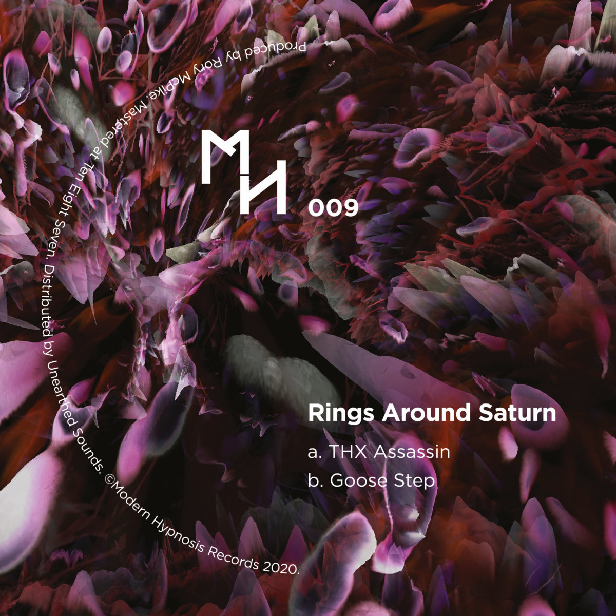 THX Assassin / Goose Step | Rings Around Saturn