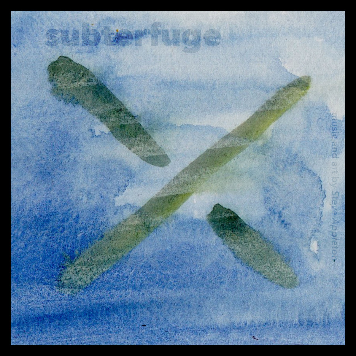 Subterfuge | Steve Appleton