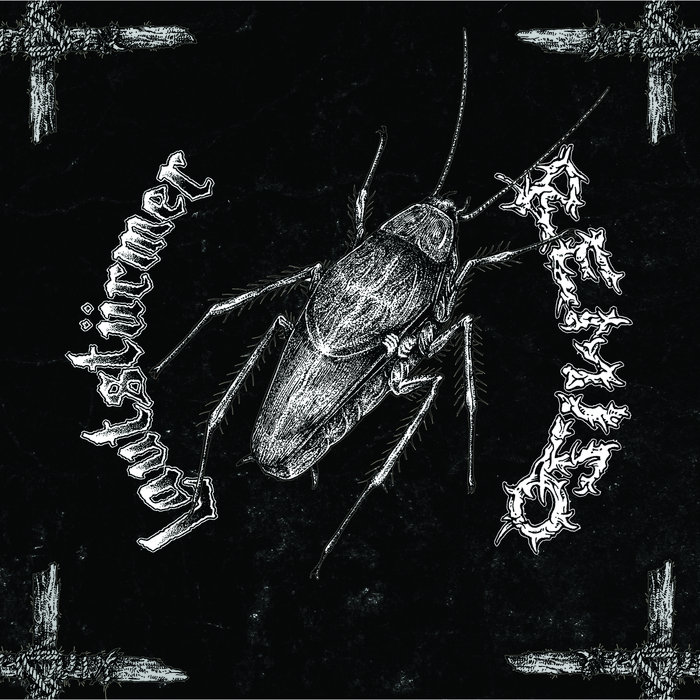 Remiso / Lautstürmer Split LP | Remiso