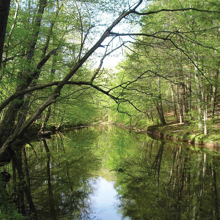 Germination | Johnny Miles