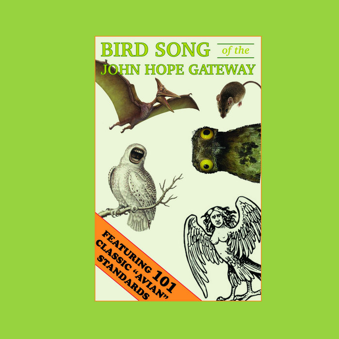 Bird Song of the John Hope Gateway | VWT