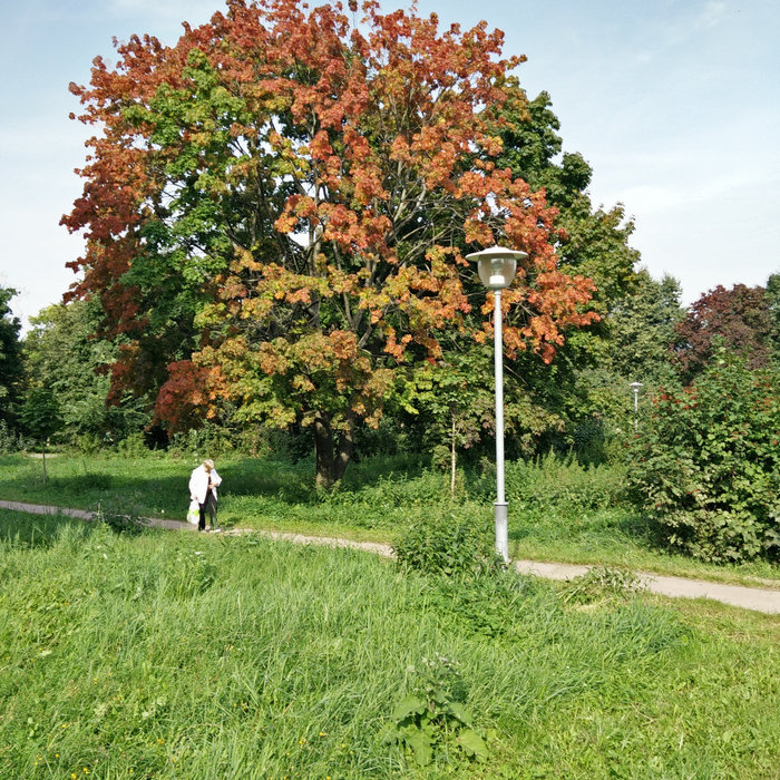 The joint point EP | sCRAM pROJECT