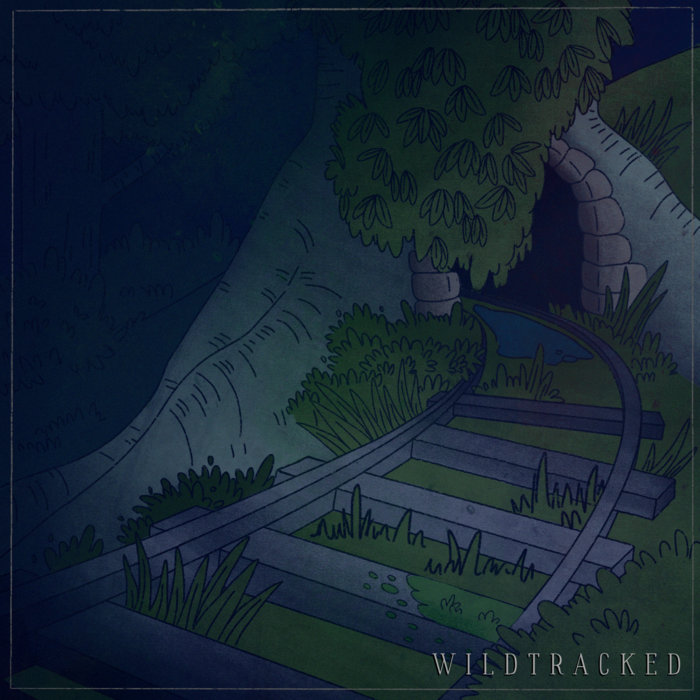 WildTracked | MedawattMusic, Jake Gray, Nikhil Aashik & Peter Khoury ...