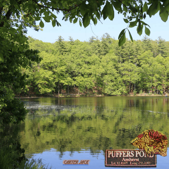 Puffer's Pond | Carter Jack