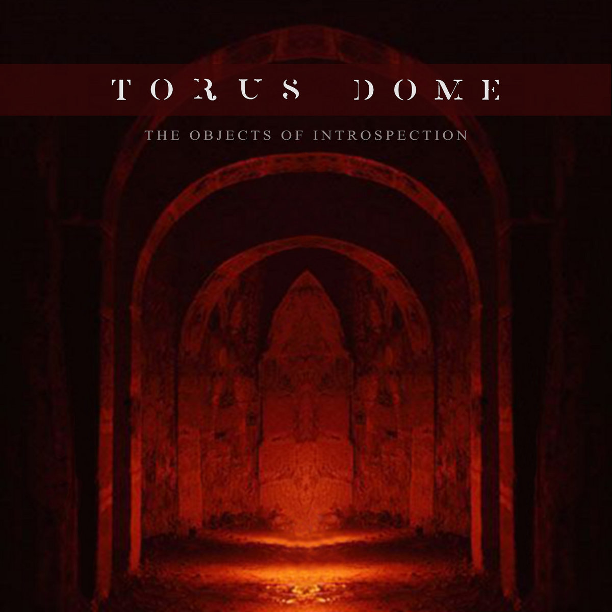 The Objects of Introspection | Torus Dome | thorusdome