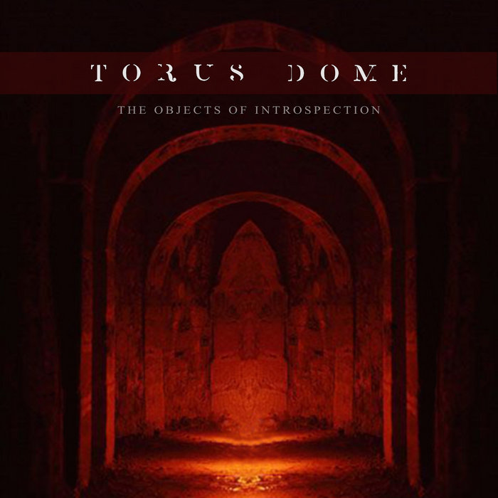 The Objects of Introspection | Torus Dome | thorusdome