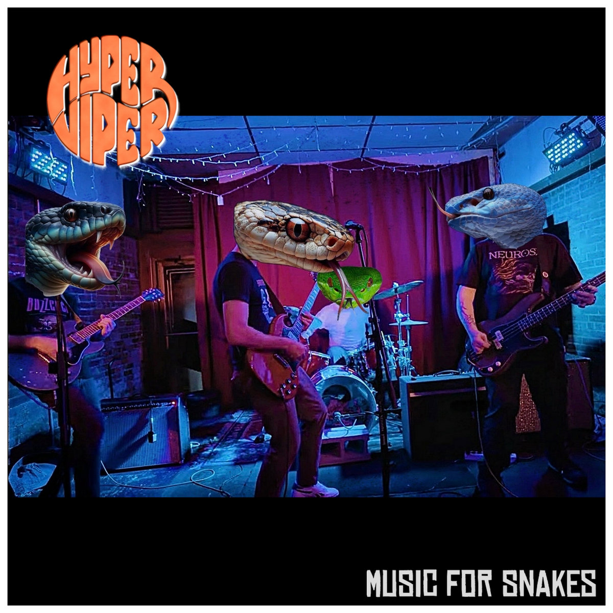 Music for Snakes | Hyper Viper