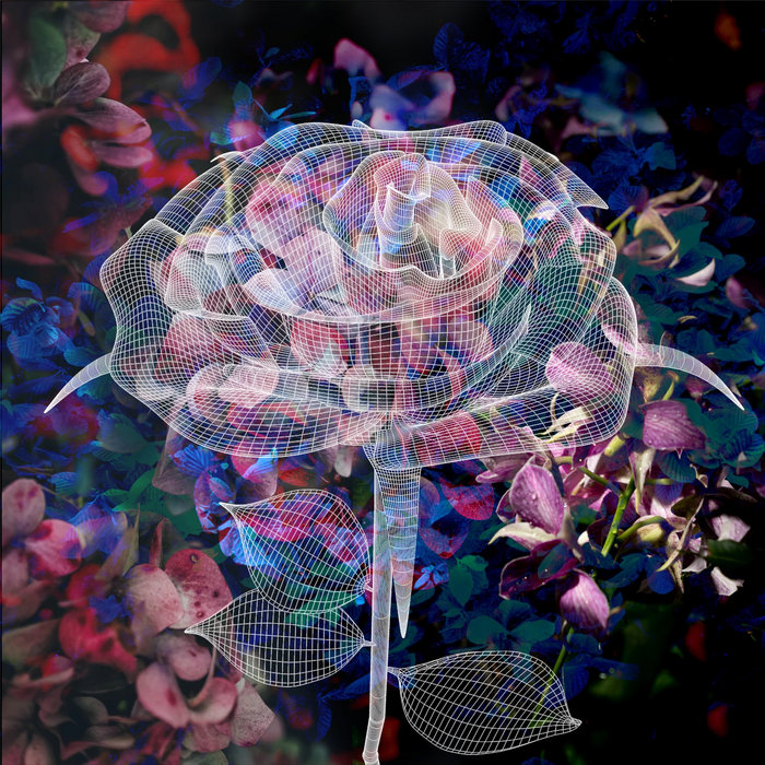 New Flowers EP | Genesis Jane