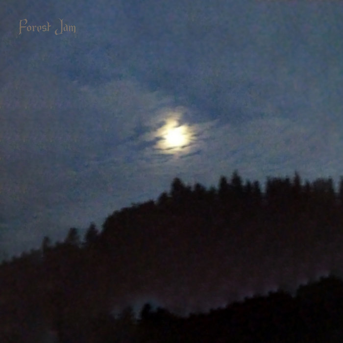 Forest Jam | Trees Beyond