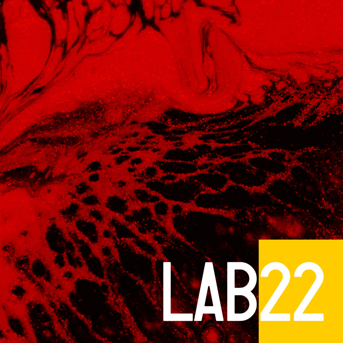 nine years after | LAB22 | LAB_22