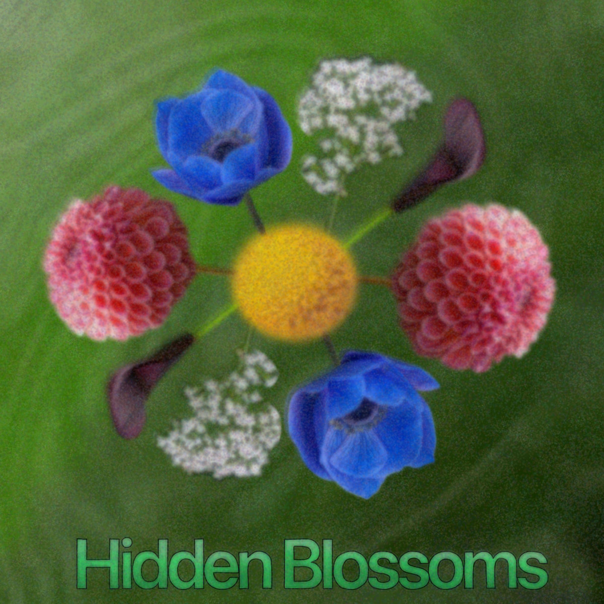Hidden Blossoms | Madison Lawrence