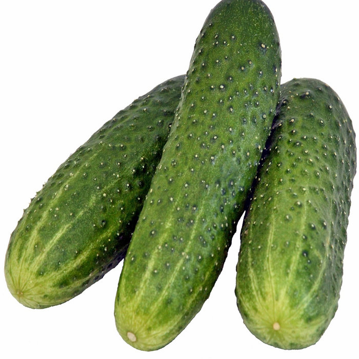 RSNZ ☥ | Rickyreasonz