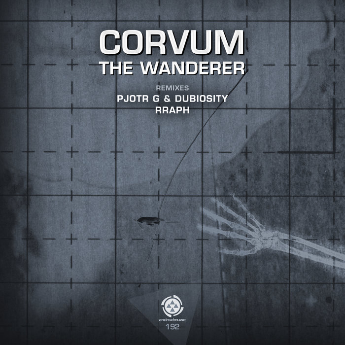 The Wanderer | Corvum | Android Muziq