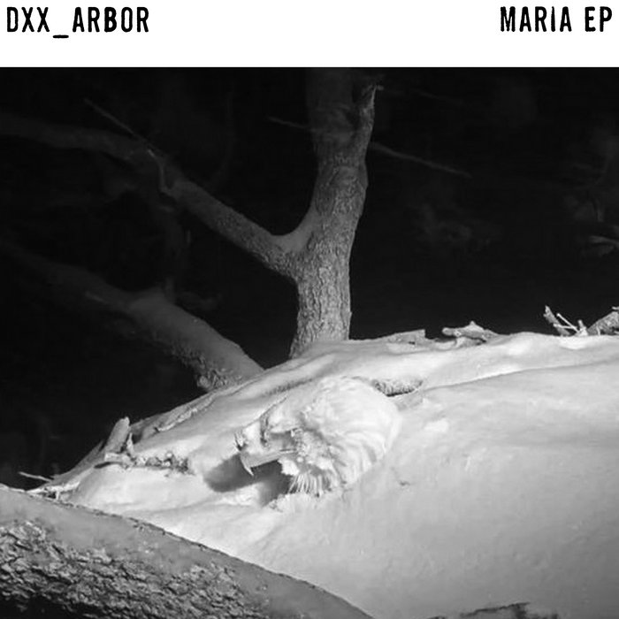 Maria EP | DXx & Arbor | French Tabloïd