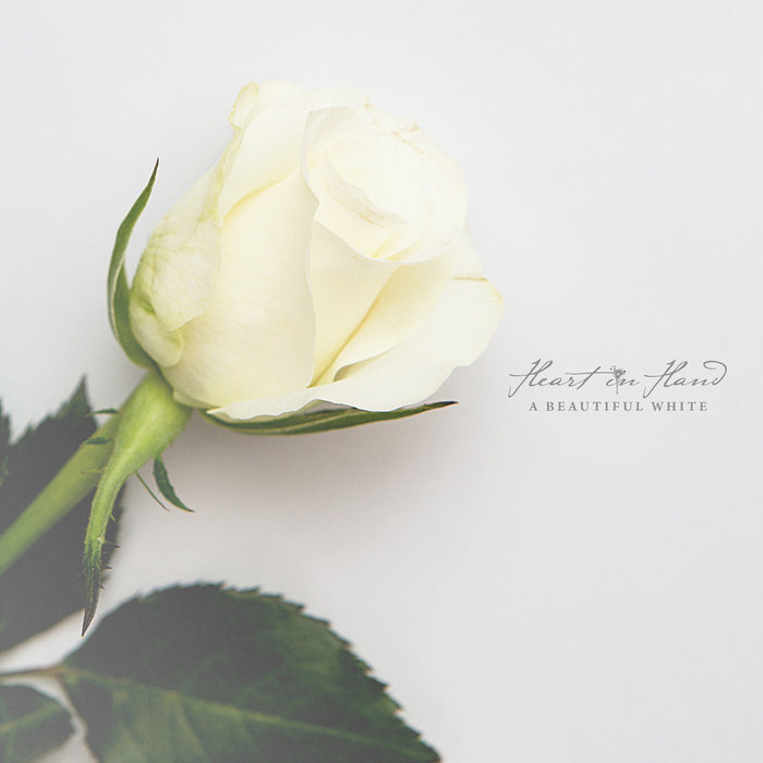 A Beautiful White [Price Cutter Series] | Heart In Hand | Century Media ...