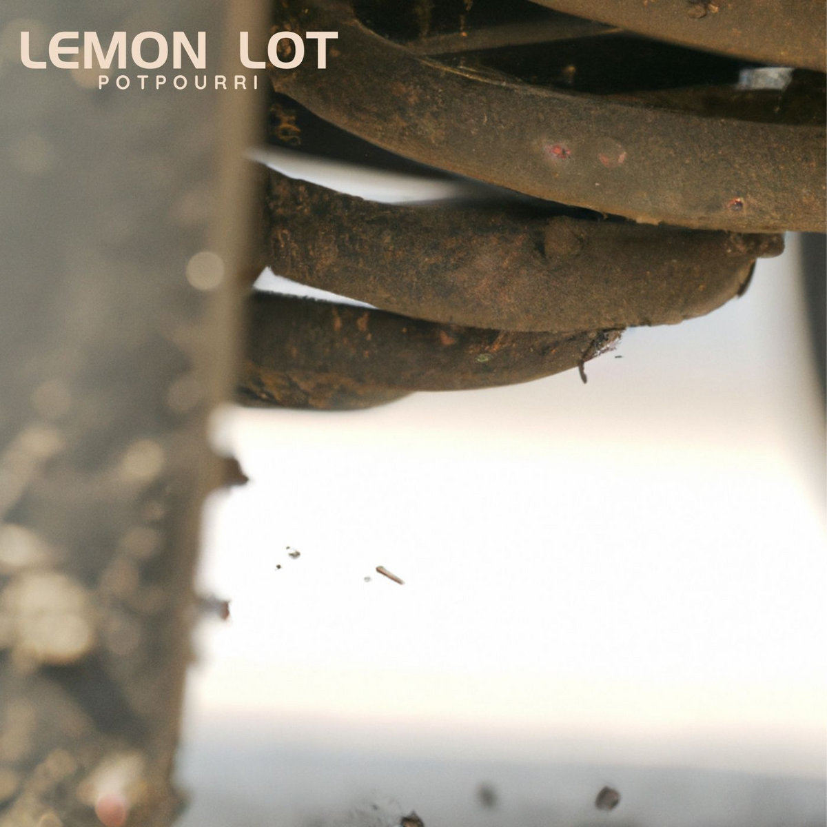 Potpourri | Lemon Lot