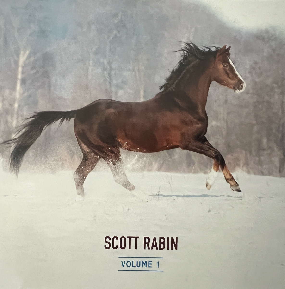 Volume 1 | Scott Rabin