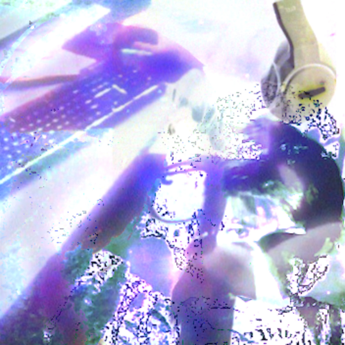 something about computers master collection | experiencer | Beauty & Unity