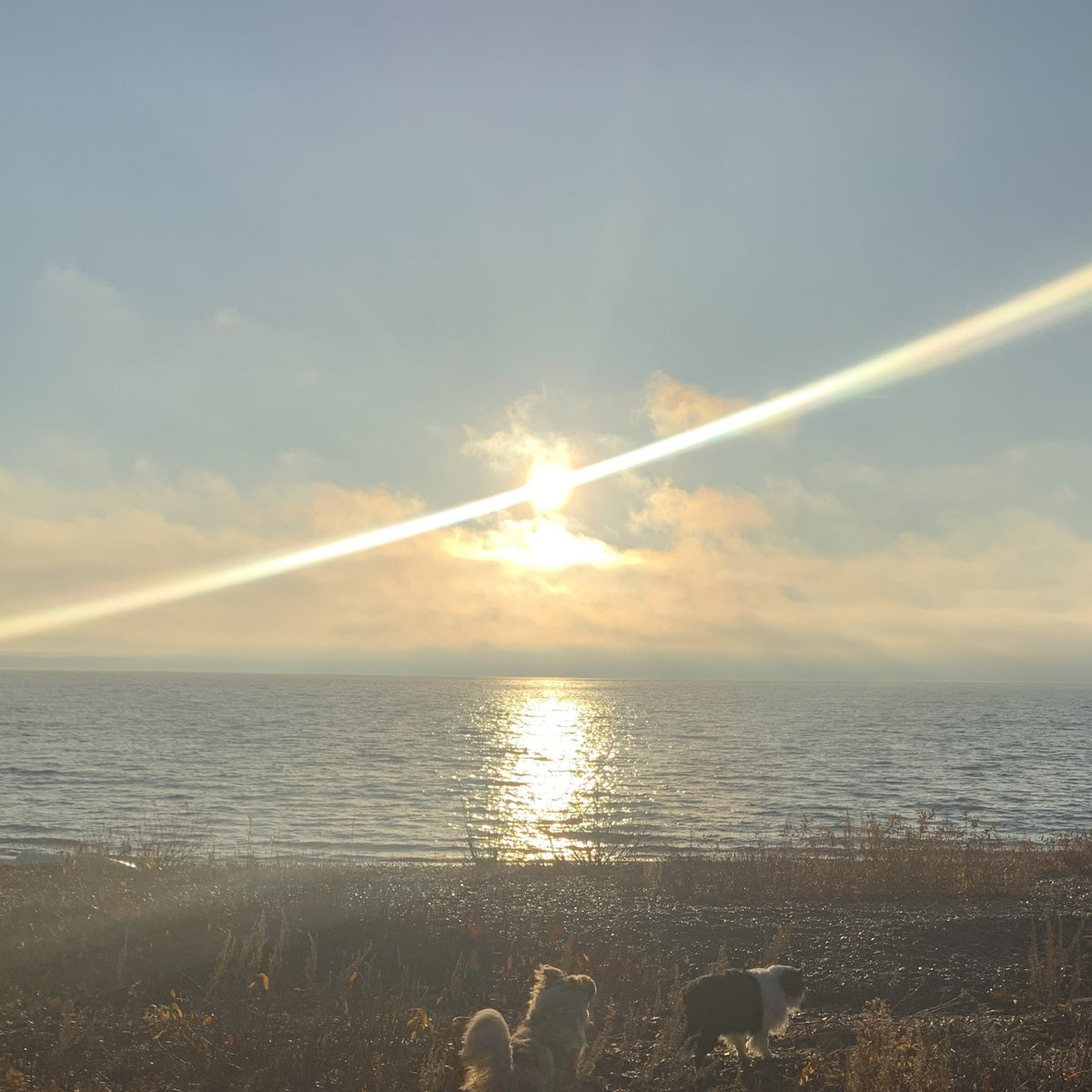 Our Day at the Beach | Ghastly Crucifix