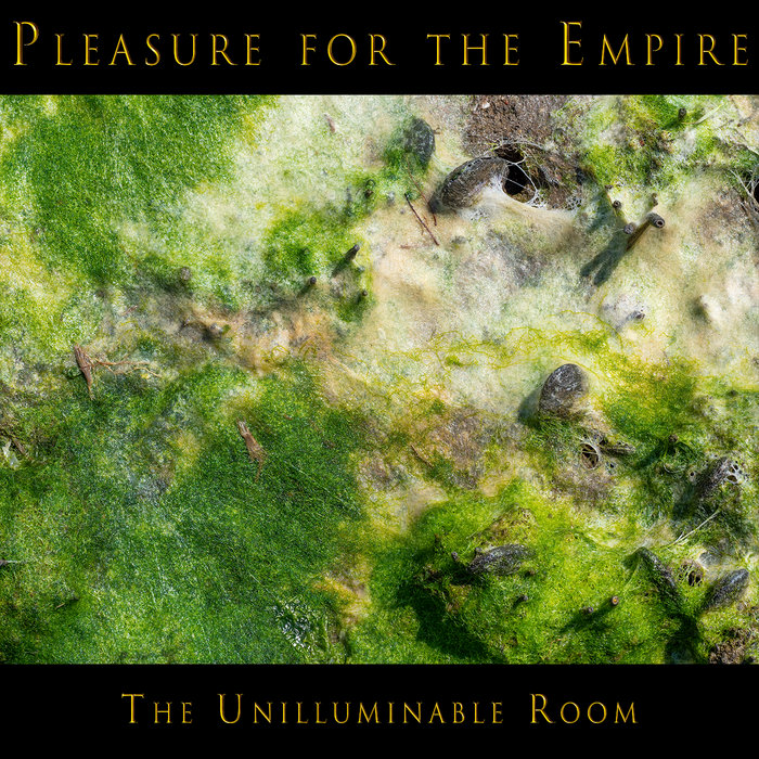 The Unilluminable Room | Pleasure for the Empire