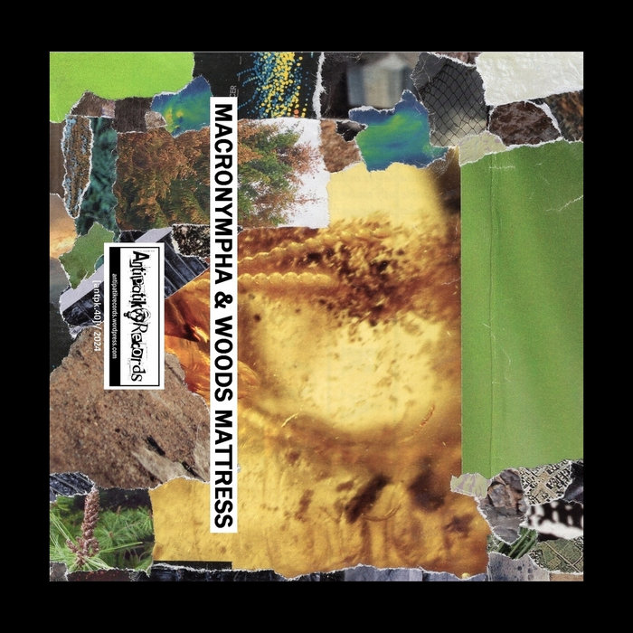 MACRONYMPHA / WOODS MATTRESS "split" | Antipatik Records
