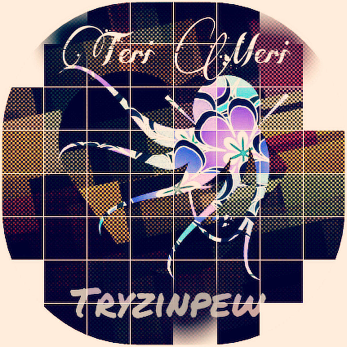Teri Meri Meri Teri(Cover) | Tryzinpew