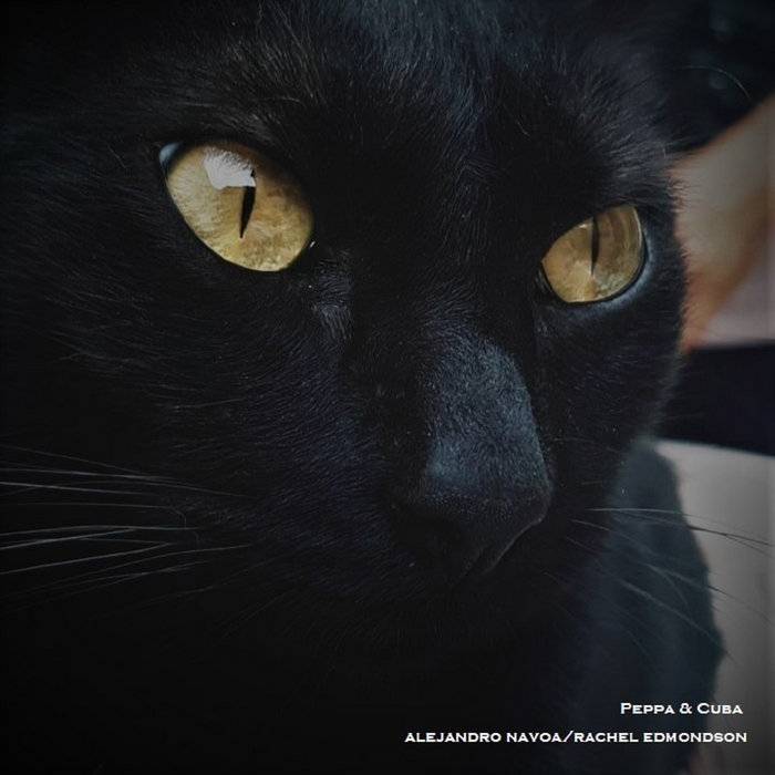 Peppa & Cuba feat. Rachel Edmondson (UK) | Alejandro Navoa