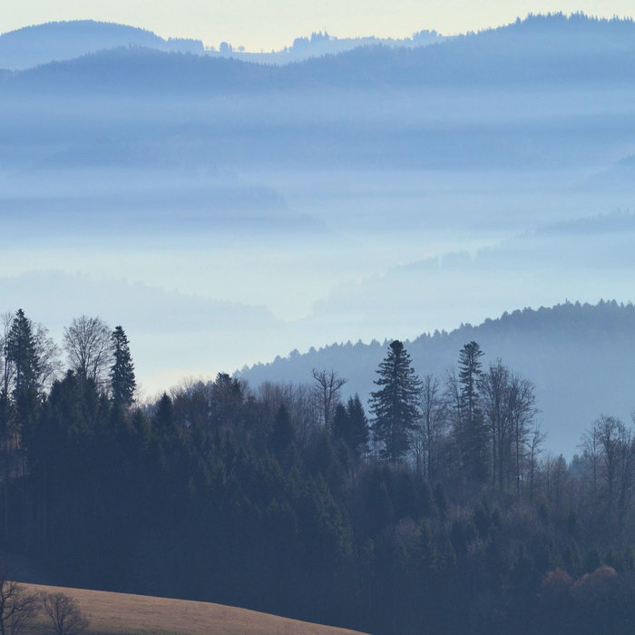 Single - Blue Ridge Dawn (2023) | Stephen McNamara