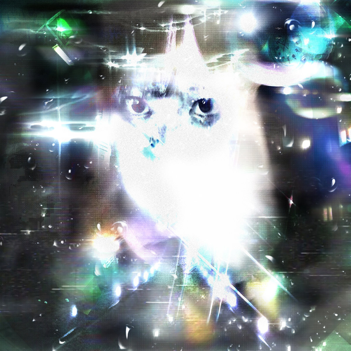 Nano Victories / Secondary Losses | VVV x Sangam | Sangam