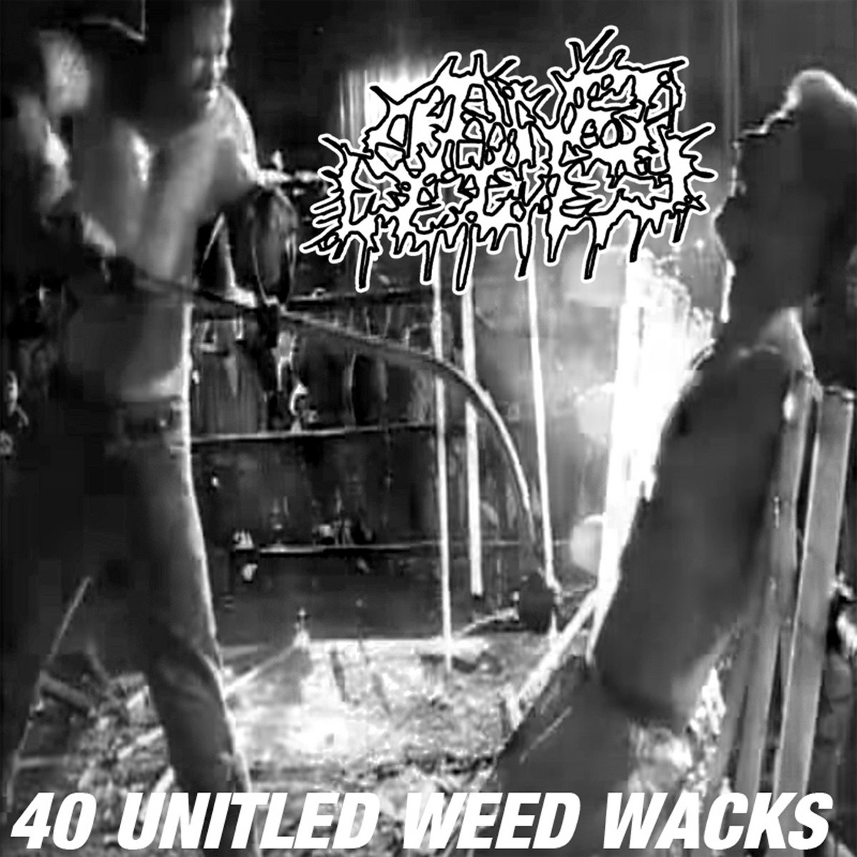 40 Untitled Weed Wacks | Cane Dewey