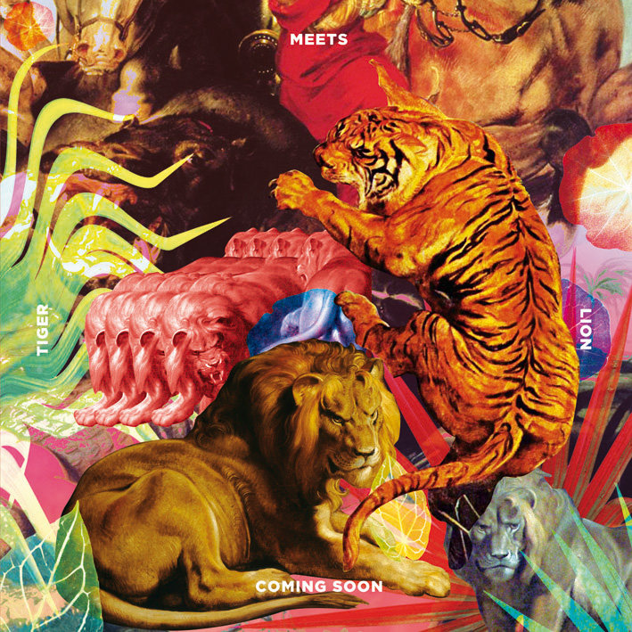 Tiger Meets Lion | Coming Soon