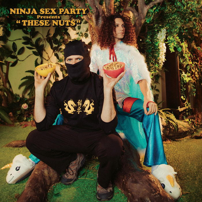 These Nuts Ninja Sex Party