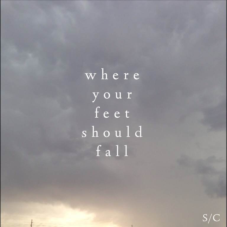 Where Your Feet Should Fall | Timothy Brecht (of Spider Cider) | Spider ...