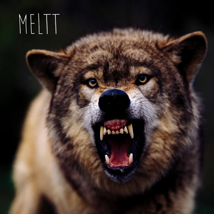 Meltt - EP | Meltt