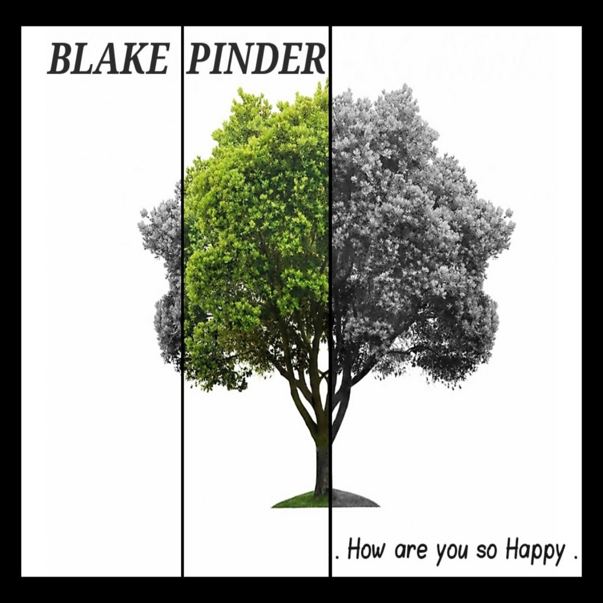 How are you so happy | Blake Pinder | BlakePinder