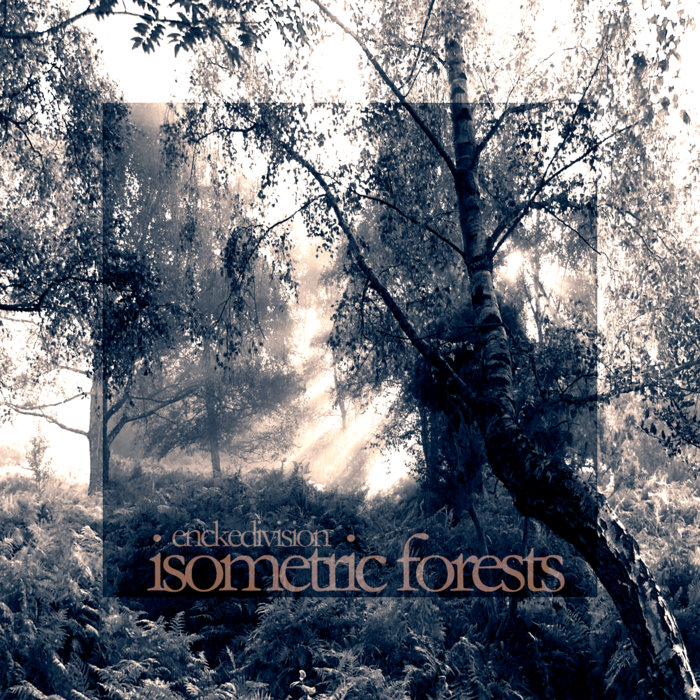 isometric forests | Encke Division